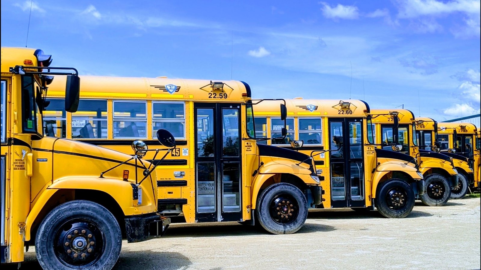 Become a Bus Driver!